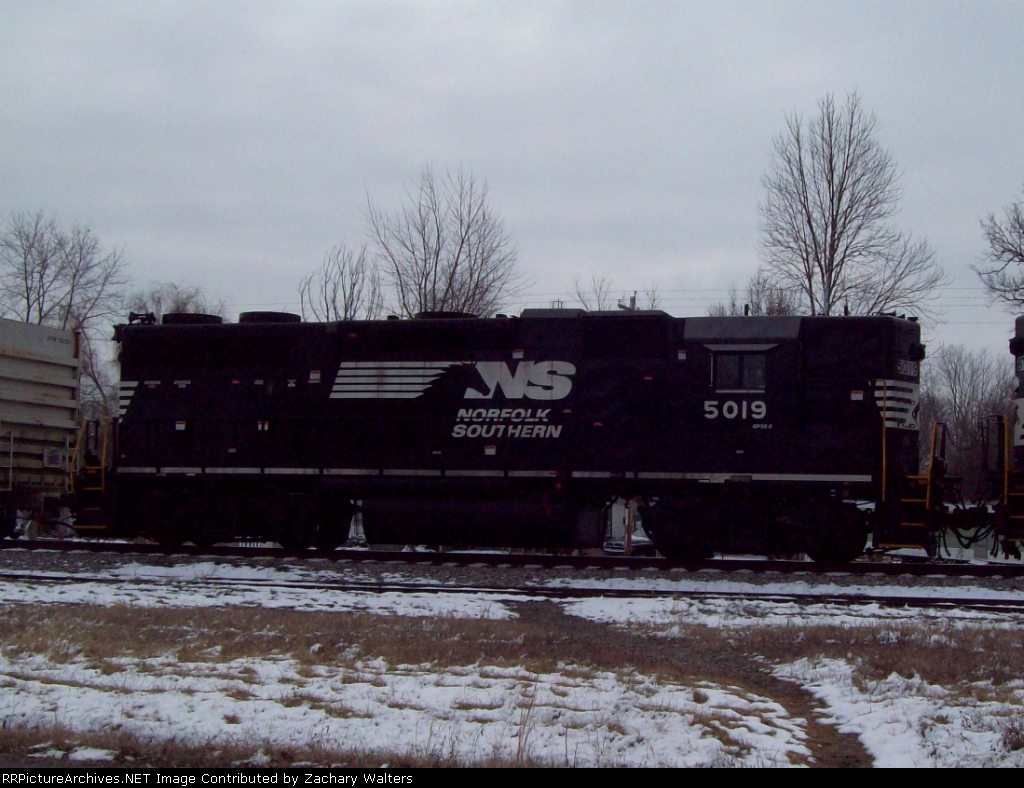 NS 5019